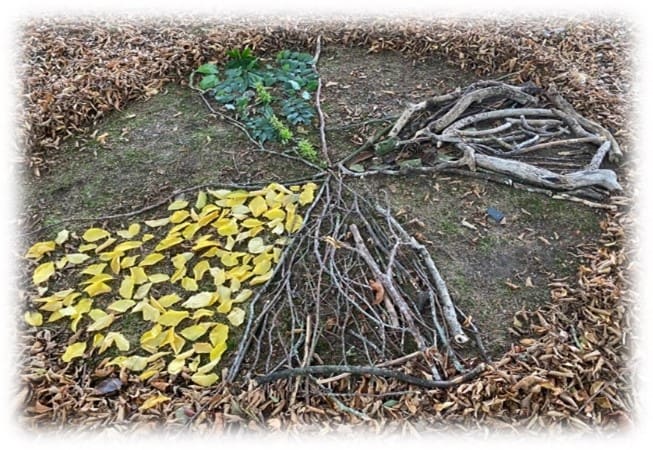 Join our outdoor art therapy groups! - Birmingham and Solihull Mental ...