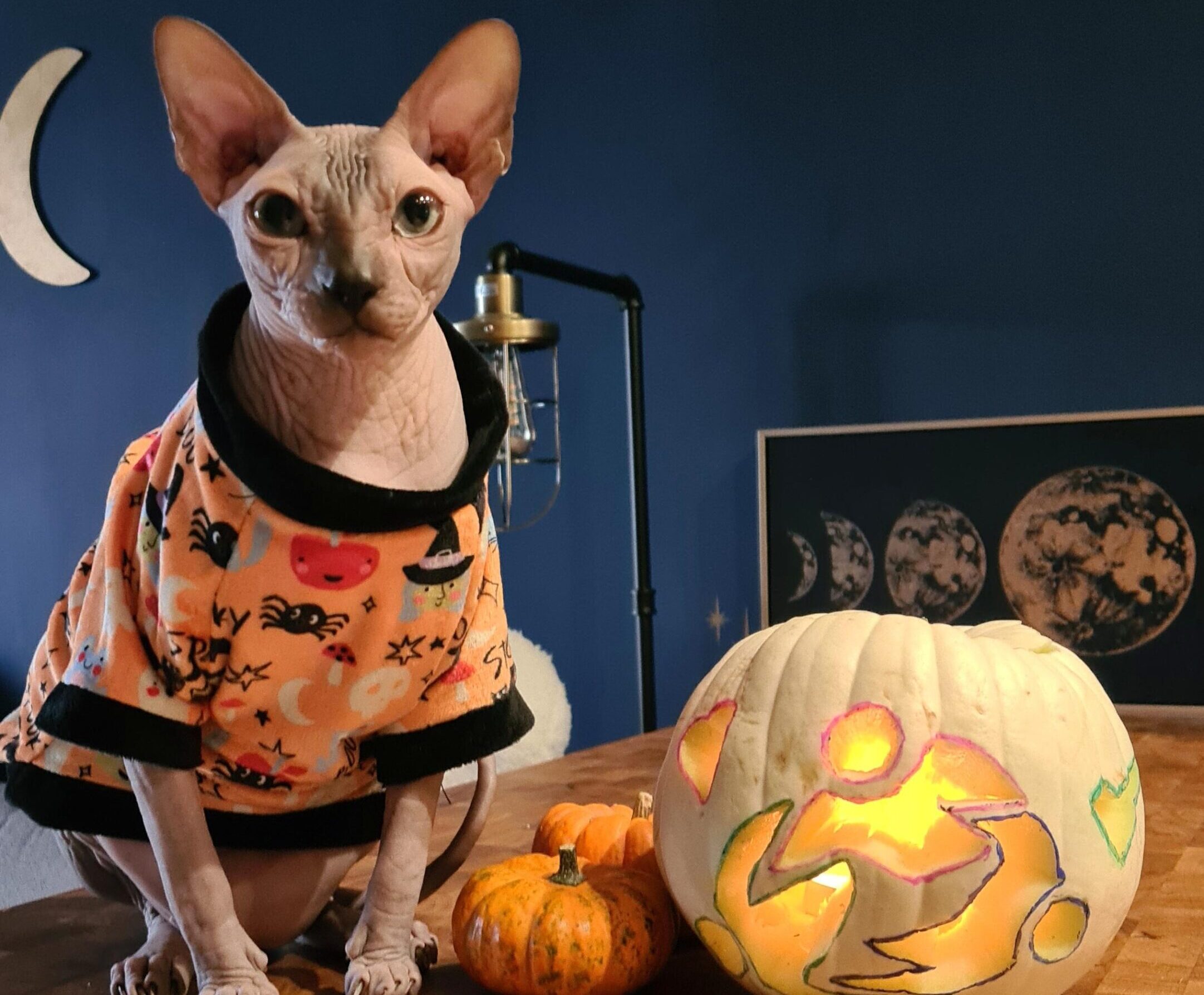 Caring Minds’ pumpkin carving contest - Birmingham and Solihull Mental ...